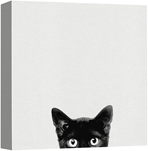 Amazon.com: Buyartforless Work Framed Curiosity Cat by Jon Bertelli ...