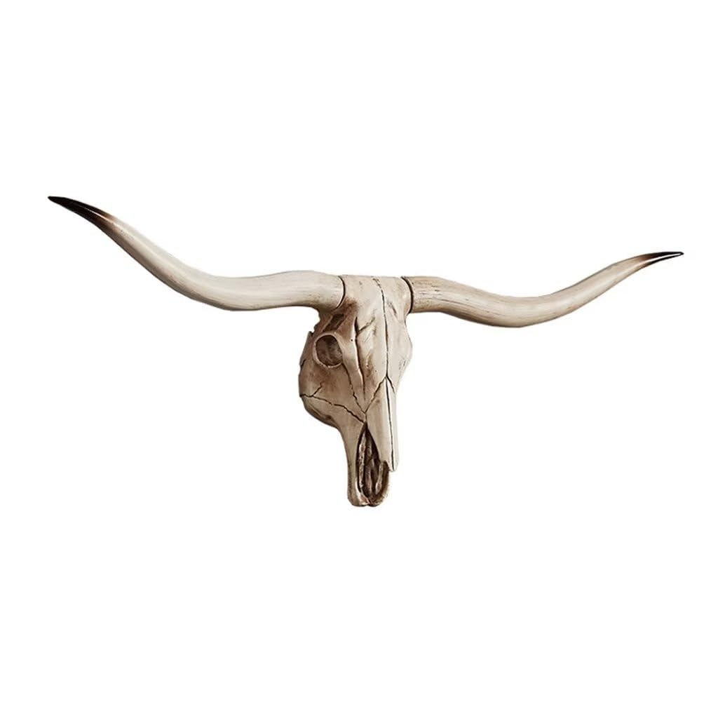 Longhorn Bull Head Side