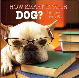 How Smart Is Your Dog? Test Your Pet's IQ: Amazon.co.uk: 9781445475868 ...