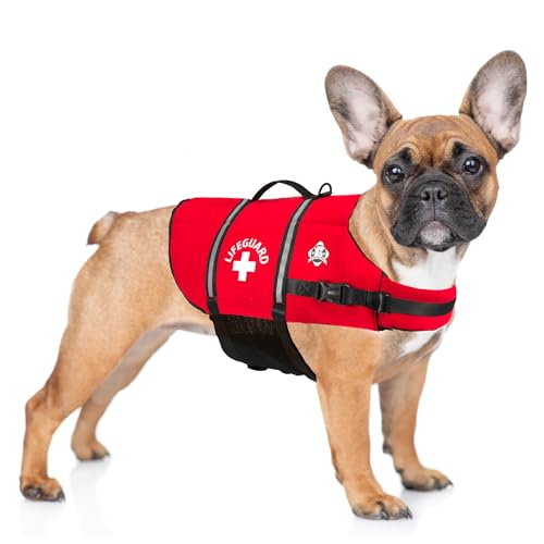 8 Best Dog Life Jackets [2024 Reviews & Ratings]