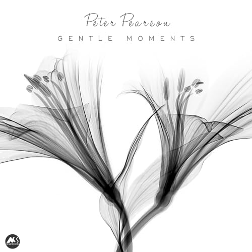 Amazon.com: Gentle Moments : Peter Pearson: Digital Music
