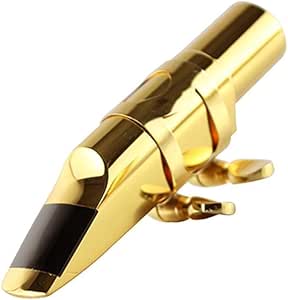Amazon.com: Alto Saxophone Mouthpiece with Cap and Hyphen, Eb Alto ...