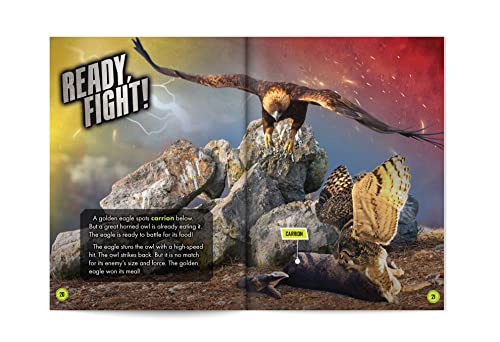 Snapklik.com : Animal Battles By - 8 Book Bundle For Young Readers ...