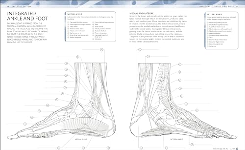 The Human Body Colouring Book: The Ultimate Anatomy Study Guide (DK ...