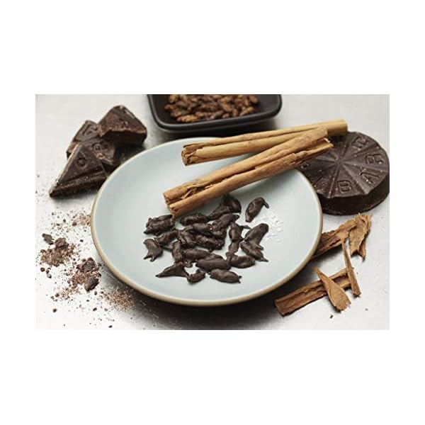 Don Bugito Planet-Friendly Edible Insect Protein Snacks (Dark Chocolate ...