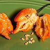 Amazon.com : Pepper Joe's Orange Carolina Reaper Pepper Seeds - Pack of ...