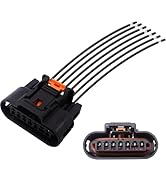Amazon.com: HiSport Halogen Headlight Harness Compatible with Hyundai ...
