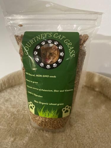 Amazon.com : Courtney's Cat Grass 16oz 100% Organic Cat Grass Seed (Non ...
