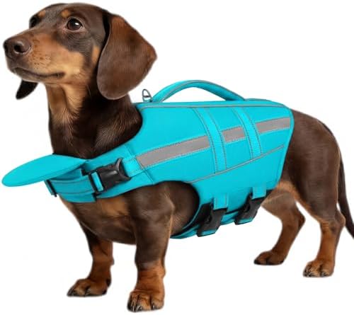 Amazon.com : ASENKU Dog Life Jacket, High-Buoyancy Life Vest with ...