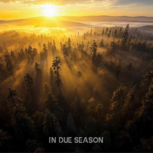 In Due Season by Gently Found on Amazon Music - Amazon.co.uk
