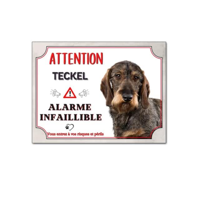 Plaque humour Attention Chien teckel alarme infaillible - 15 cm x 20 cm ...