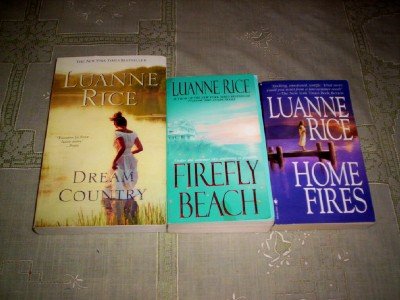 Luanne Rice - (Set 0f 3) - Not a Boxed Set (Home Fire - 1996 / Dream ...