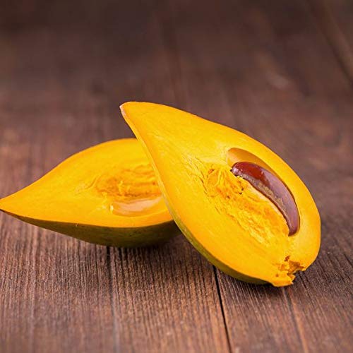 Creative Farmer Live Fruit Plant Egg Fruit Plant Mutapazham Rare ...