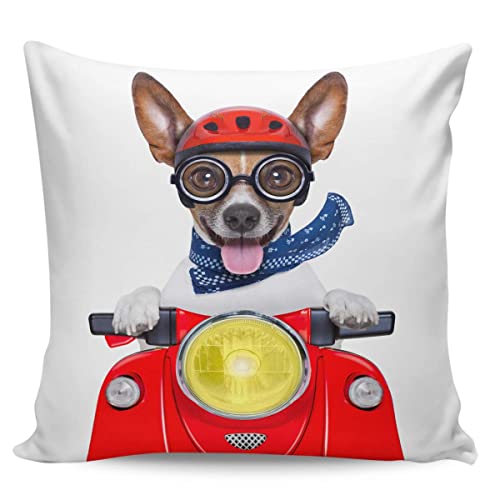 semester roliga bilder 2024 - Arteme