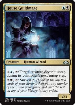 Magic The Gathering – House Guildmage (177259) – Guilds of Ravnica ...