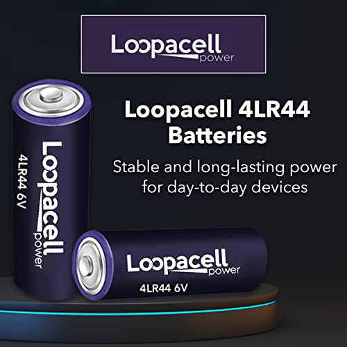 LOOPACELL Product Guide: 15 Best Things to Buy from LOOPACELL (May ...