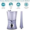 Amazon.com: Air Innovations Humidifier Top Fill Large Capacity 1.6Gal 6 ...