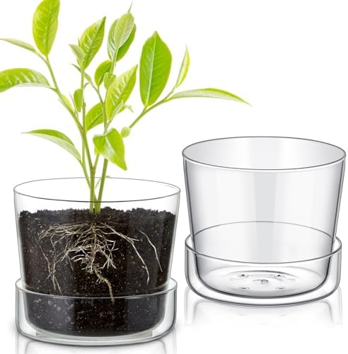 Amazon.com : Singhoow 2 Sets 6 Inch Glass Planter with Drainage Hole ...