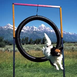 Amazon.com : Dog Agility Tire Jump-Lightweight Anodized Aluminum ...