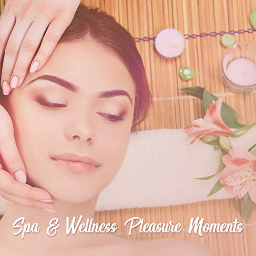 Amazon.com: Spa & Wellness Pleasure Moments – Relaxation Massage New ...