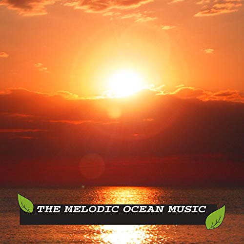 Amazon.com: The Melodic Ocean Music : Calm Ocean Music: Digital Music