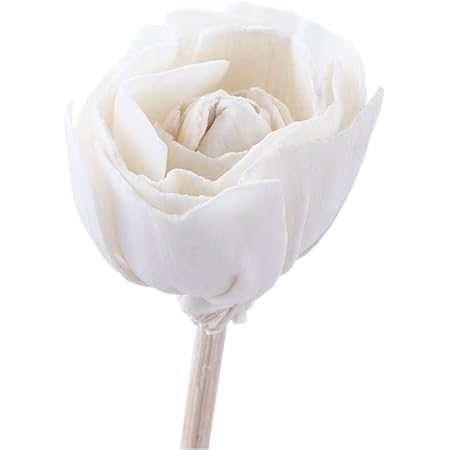 Amazon.com: Artificial Flower Perfume Diffuser Sticks, Wavy Rattan Reed ...