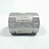 SS 304 NRV Non Return Valve screwed end 1/2" to 2" (15mm (1/2 Inch ...