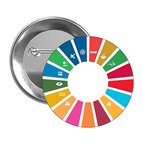 Sdg Lapel Pins Amazon at Eliseo Gonzalez blog