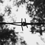 【発売日：2026年01月12日】・製造元:Azuki (아주키)