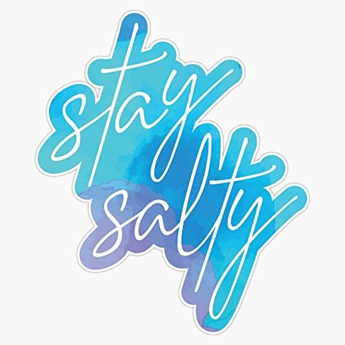 Amazon.com - Stay Salty Bumper Sticker Vinyl Decal 5"