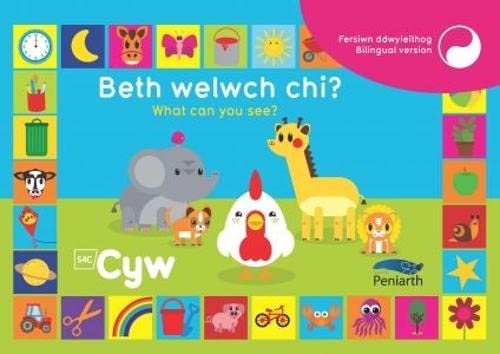 Beth Welwch Chi? What Can You See? Cyw: Amazon.co.uk: Llio Dyfri Jones ...