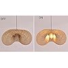 Amazon.com: HAIIQU Beige Pendant Lighting Rustic Woven Ceiling Light ...
