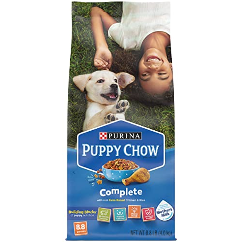 Top 10 Best Purina Complete Dog Foods: A Comprehensive Review and ...
