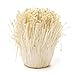 Amazon.com : 1 LB of Enoki Mushroom Spawn Mycelium to Grow Gourmet and ...