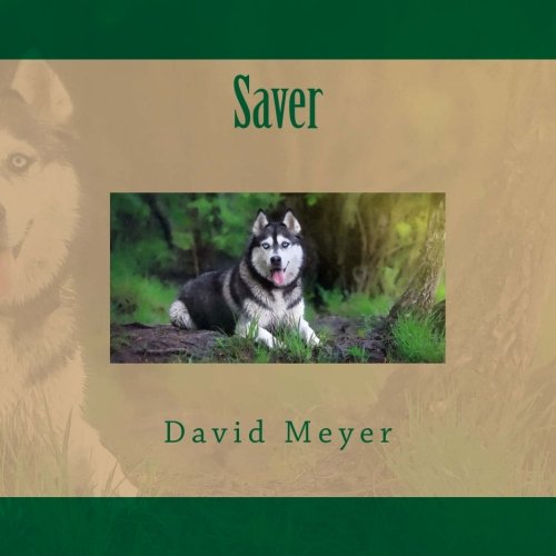 Saver: Meyer, David J, Clarey, Patricia: 9780692967812: Amazon.com: Books