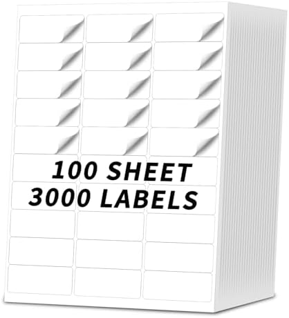 Amazon.com : Pacific Mailer Address Shipping Labels 3000 Labels 100 ...