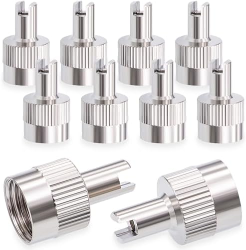 Amazon.com: MEAJOO 10PCS Tire Valve Stem Caps, Nickel Brass Slotted ...