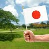 Amazon.com : QQSD Japan Small Flag Japanese Stick Mini Hand Held Flags ...