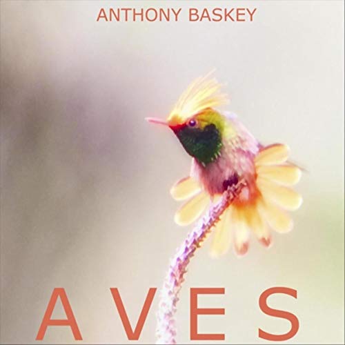 Play Aves by Anthony Baskey on Amazon Music