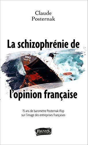 Amazon.com: La schizophrénie de l'opinion française: 15 ans de ...