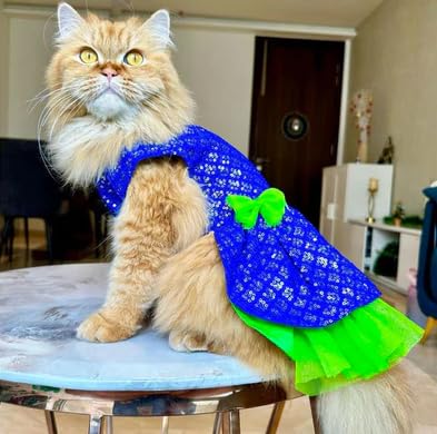 Wrap In Fur Dog Chaka Chak Frock, Dog Frock (3XL, Blue Green), Dog ...