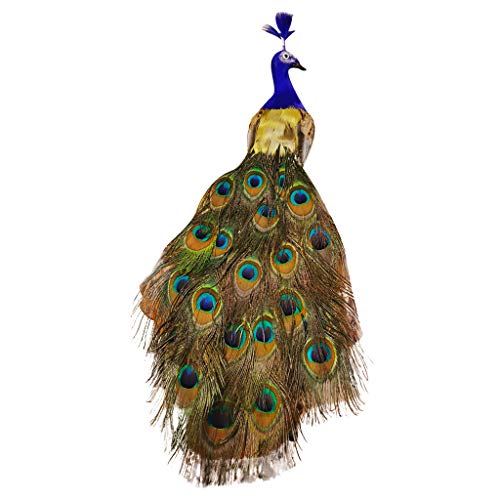 Pfau Dekofigur – Die 15 besten Produkte im Vergleich - Hausbauberater ...