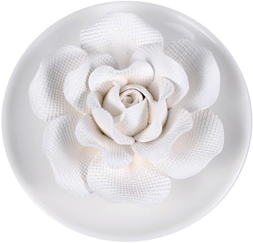 Amazon.com: Oumeiben Passive Ceramic Essential Oil Diffuser - Non ...
