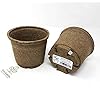 Tech-Garden 12 Pack of - 10 cm Biodegradable Biopot Plant Pots Eco ...