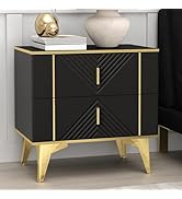 Amazon.com: ShiKeyi Black Gold Nightstands Set of 2 with 2 Drawers ...
