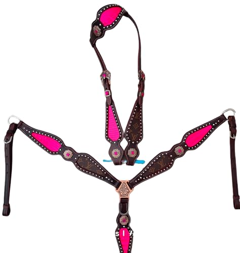 Horse Tack Sets: When, Where & How To Use Them? - Animals Log