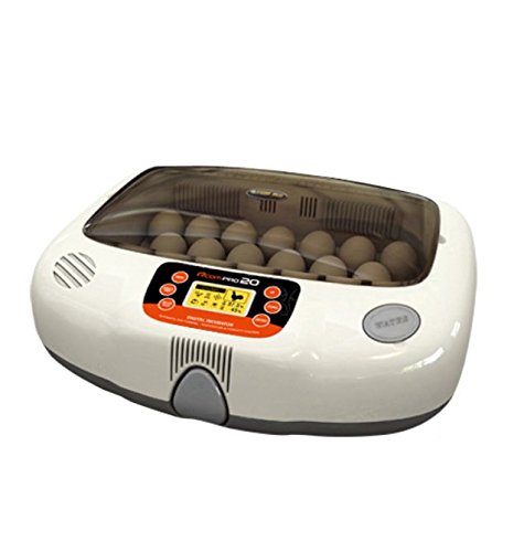 ++ Brutmaschine Rcom King Suro 20 Test - Gartenbau für Jederman - ganz ...