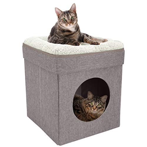 Cat Cube – The 15 best products compared - Wild Explained