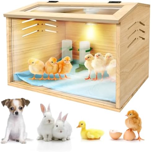 Amazon.com: Chicken brooder Box,Chick brooder,brooder Box for Chicks ...