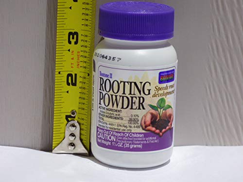 Amazon.com : Bontone II Rooting Powder 35 Grams (4 Bottles 140 Grams ...